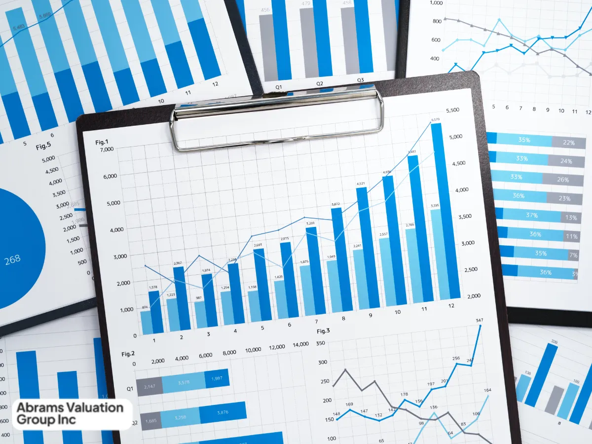 Understanding the Quality of Earnings Report | AVGI